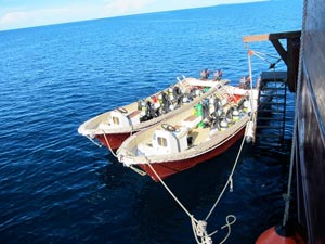 Dive Indonesia With Arenui « Island Hopping « Indonesia