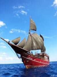 Dive Indonesia With Arenui « Island Hopping « Indonesia