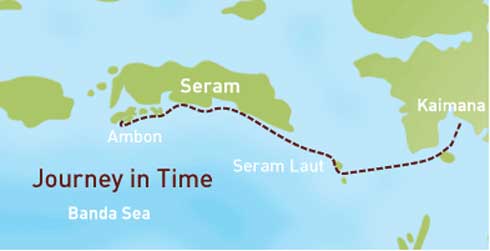 Dive Indonesia With Tambora « Liveaboard Diving « Indonesia